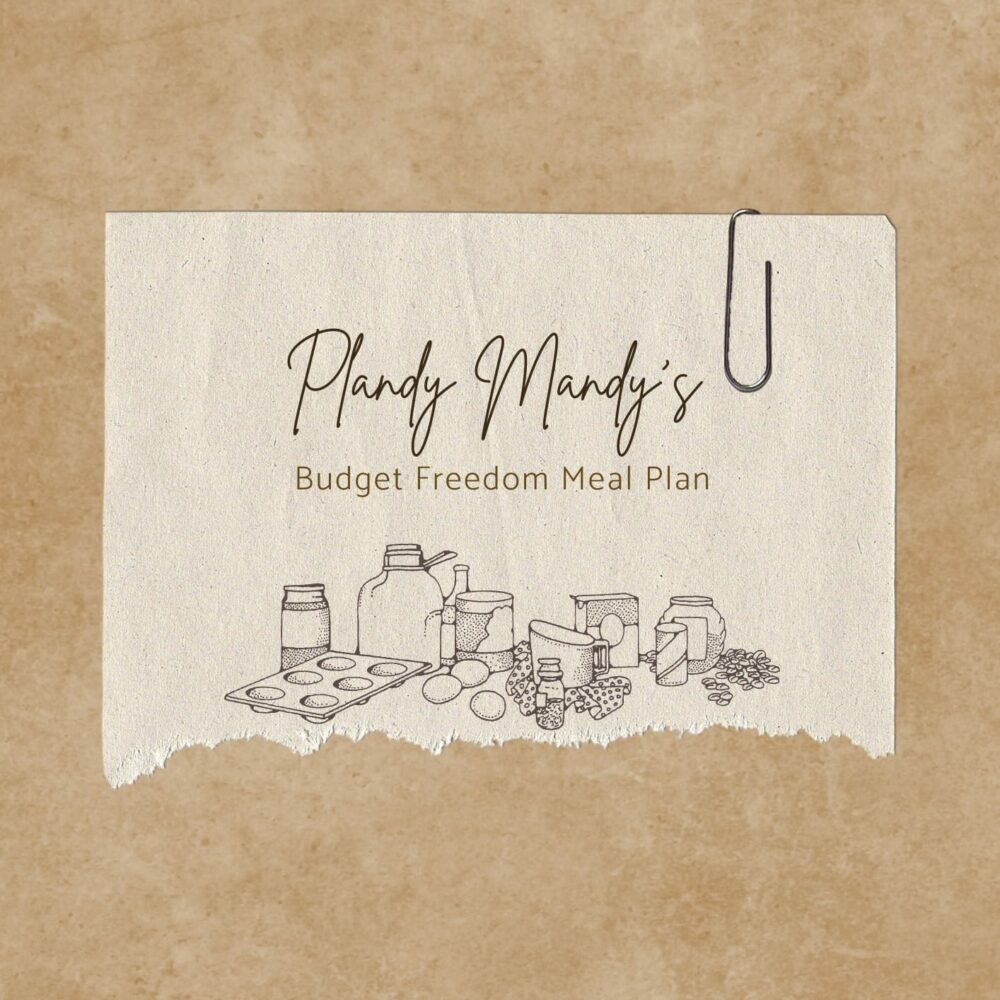 Budget Freedom Meal Plan (July) | Plandy Mandy